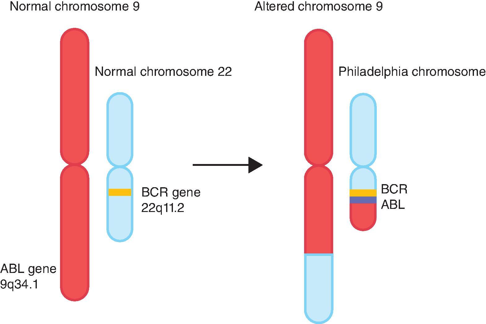 Mechanisms of Toxicities Associated With Targeted Therapy - Clinical Tree