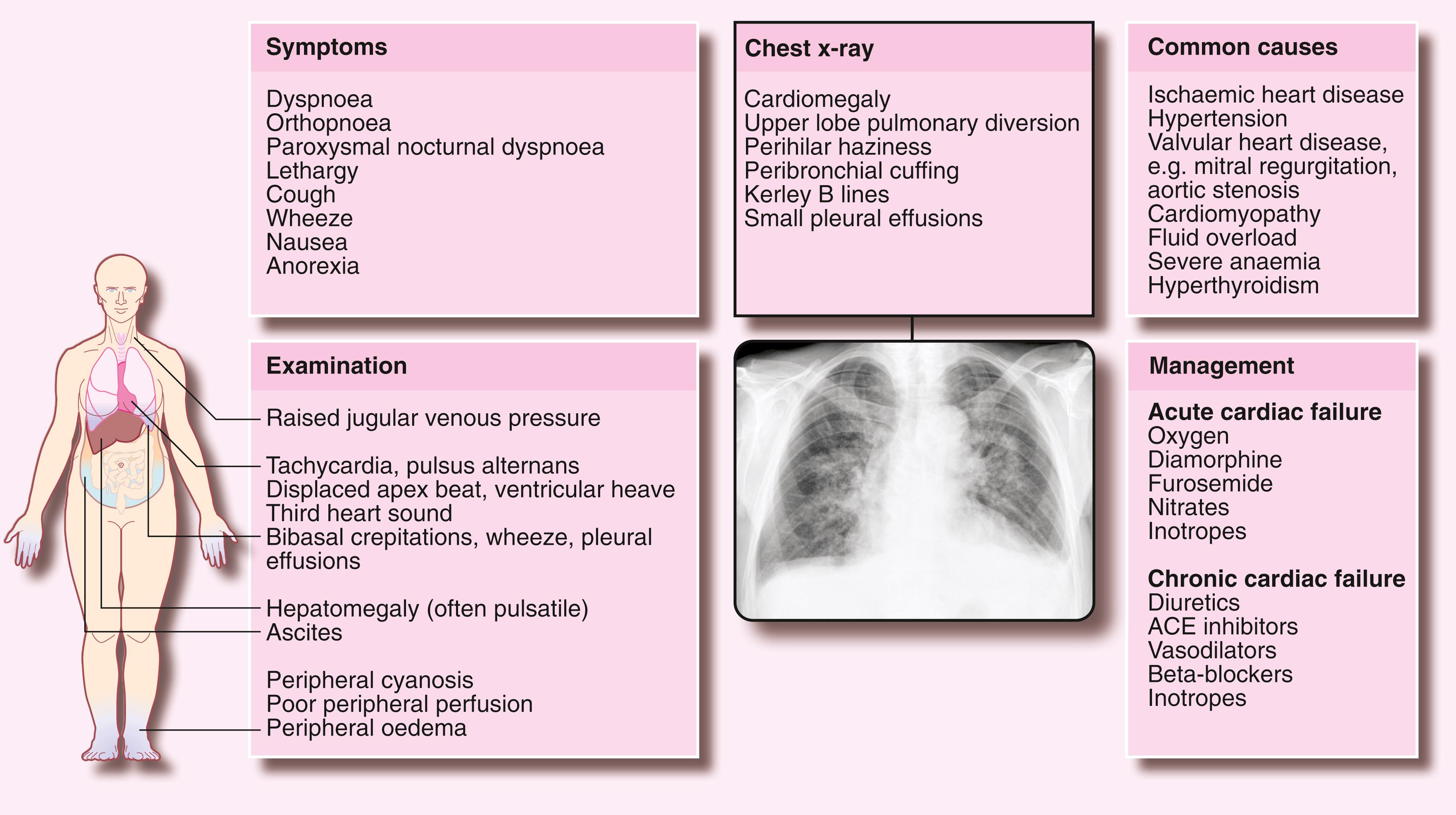 Medical Problems - Clinical Tree