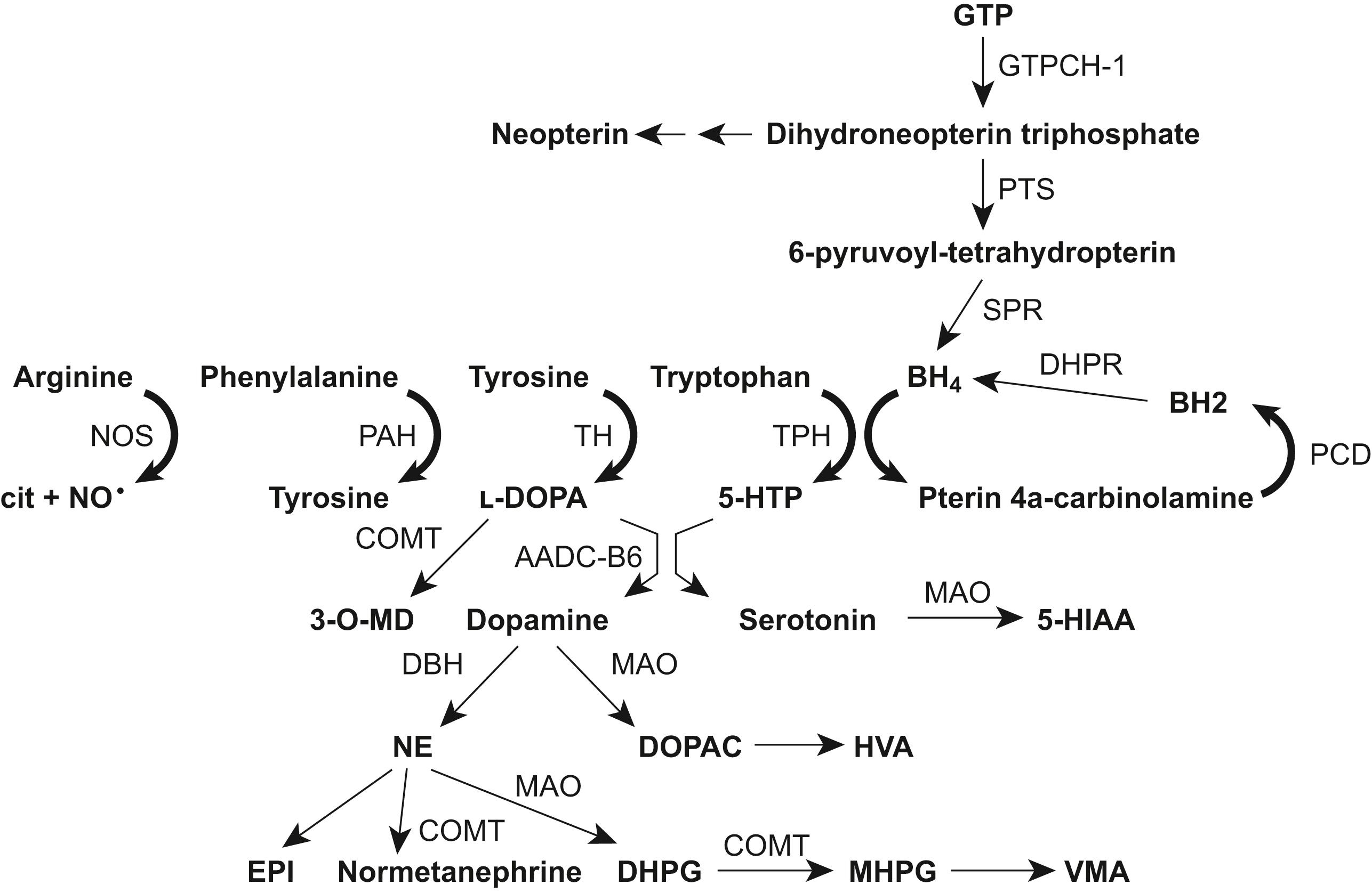 Metabolic Disorders With Associated Movement Abnormalities - Clinical Tree