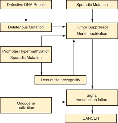 Molecular Genetics of Colorectal Cancer - Clinical Tree