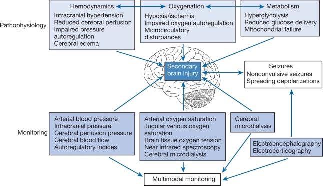 Multi-modality Neurologic Monitoring - Clinical Tree