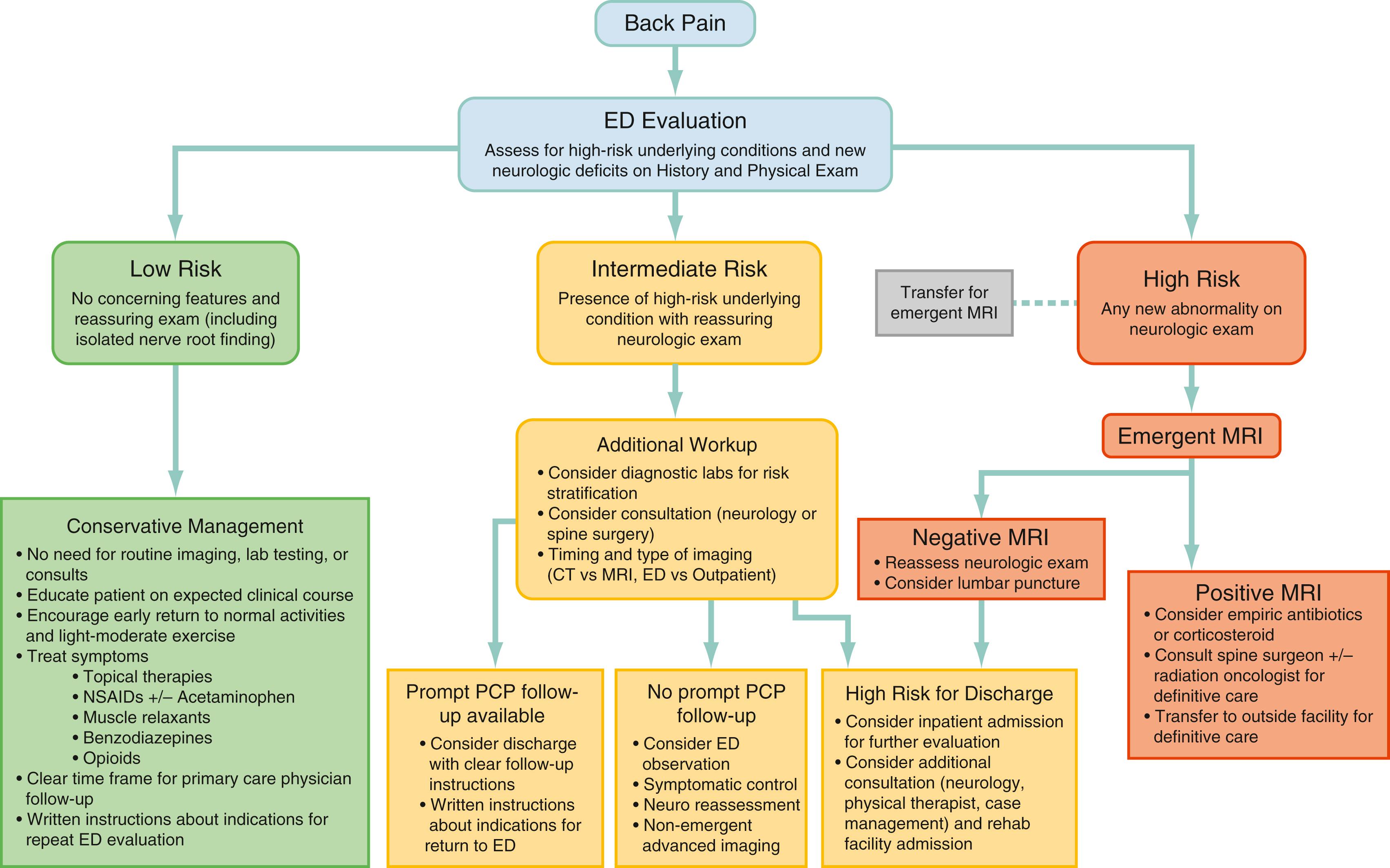 Musculoskeletal Back Pain - Clinical Tree