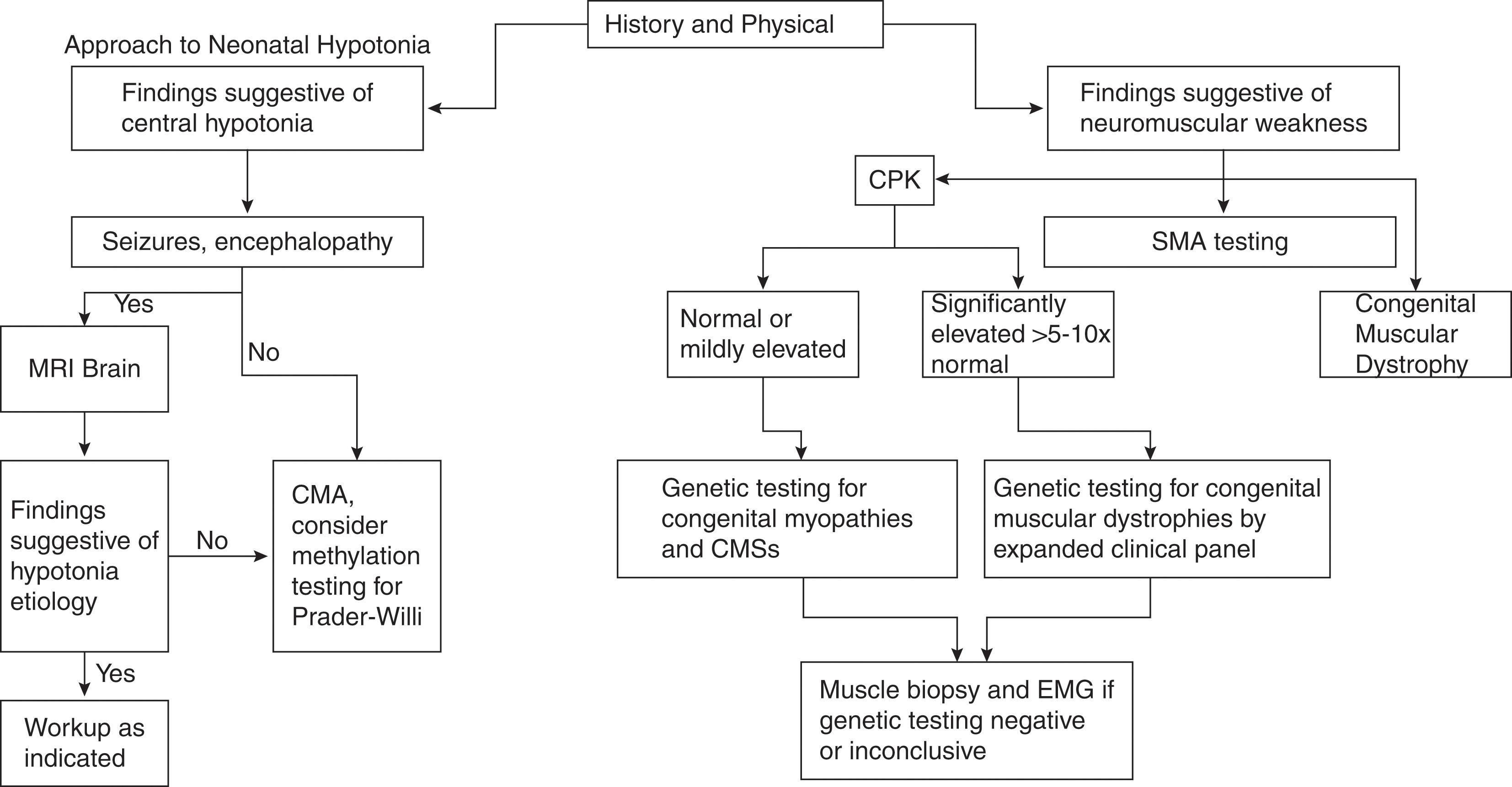 Neonatal Neuromuscular Disorders - Clinical Tree Neonatal Neuromuscular Disorders - Clinical Tree