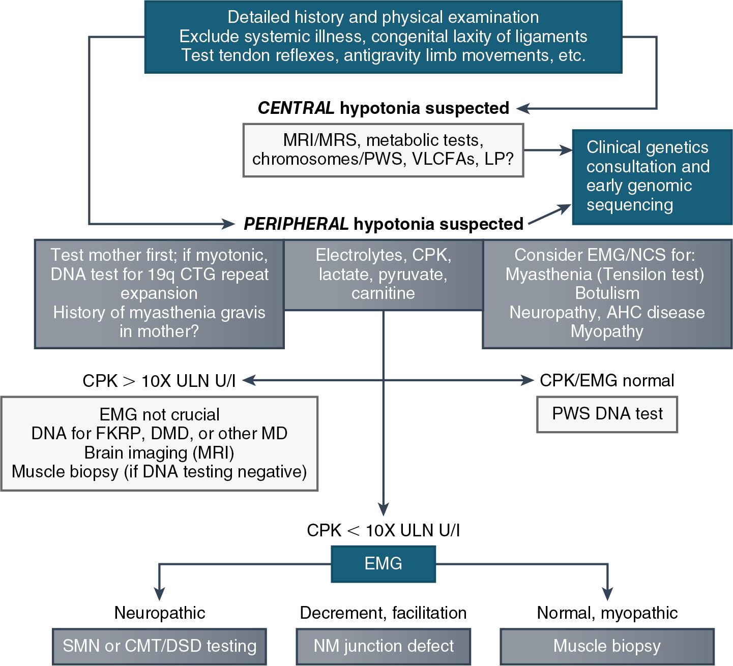 Neonatal hypotonia and neuromuscular disorders - Clinical Tree Neonatal hypotonia and neuromuscular disorders - Clinical Tree