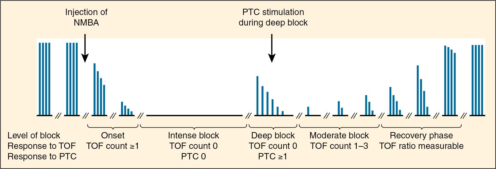 Neuromuscular blocking agents - Clinical Tree