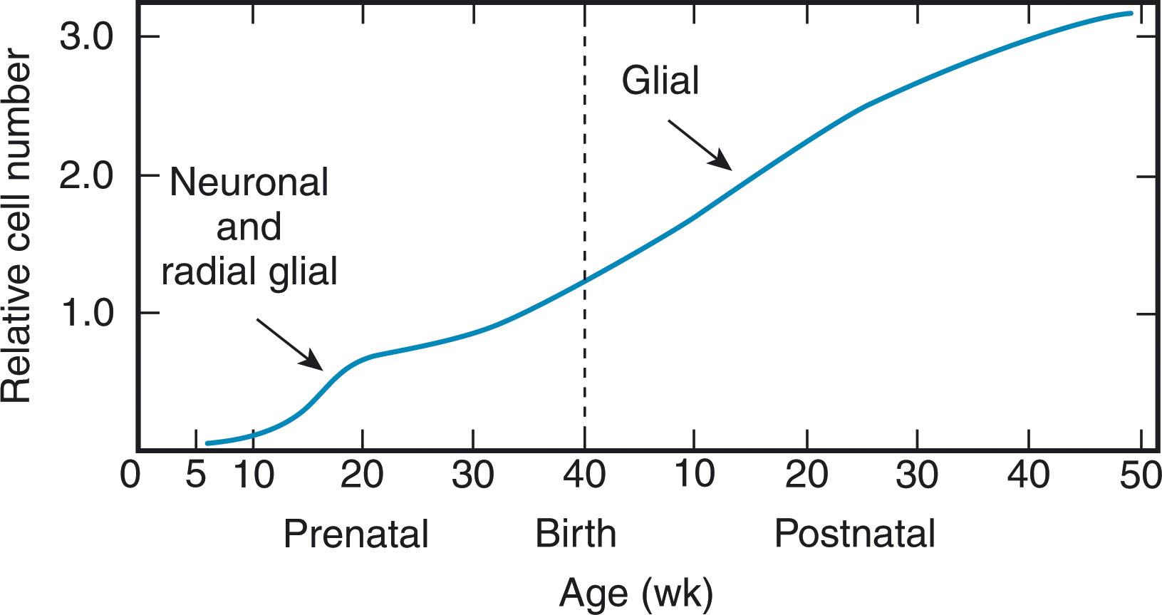 Neuronal Proliferation - Clinical Tree