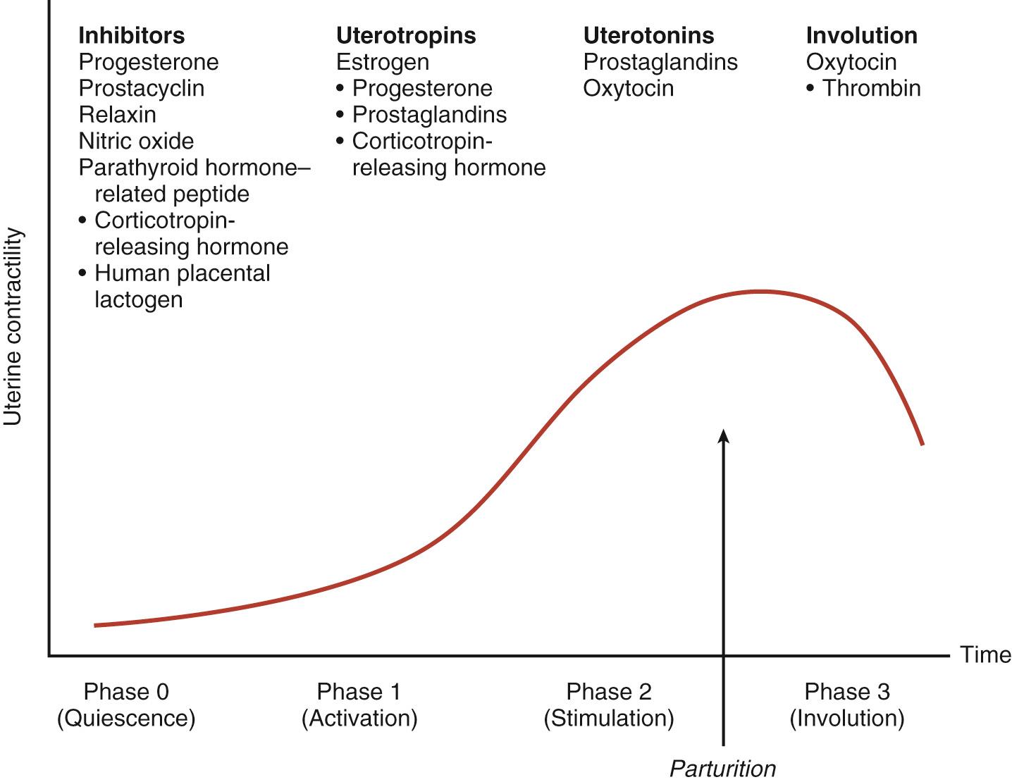 Normal Labor and Delivery - Clinical Tree