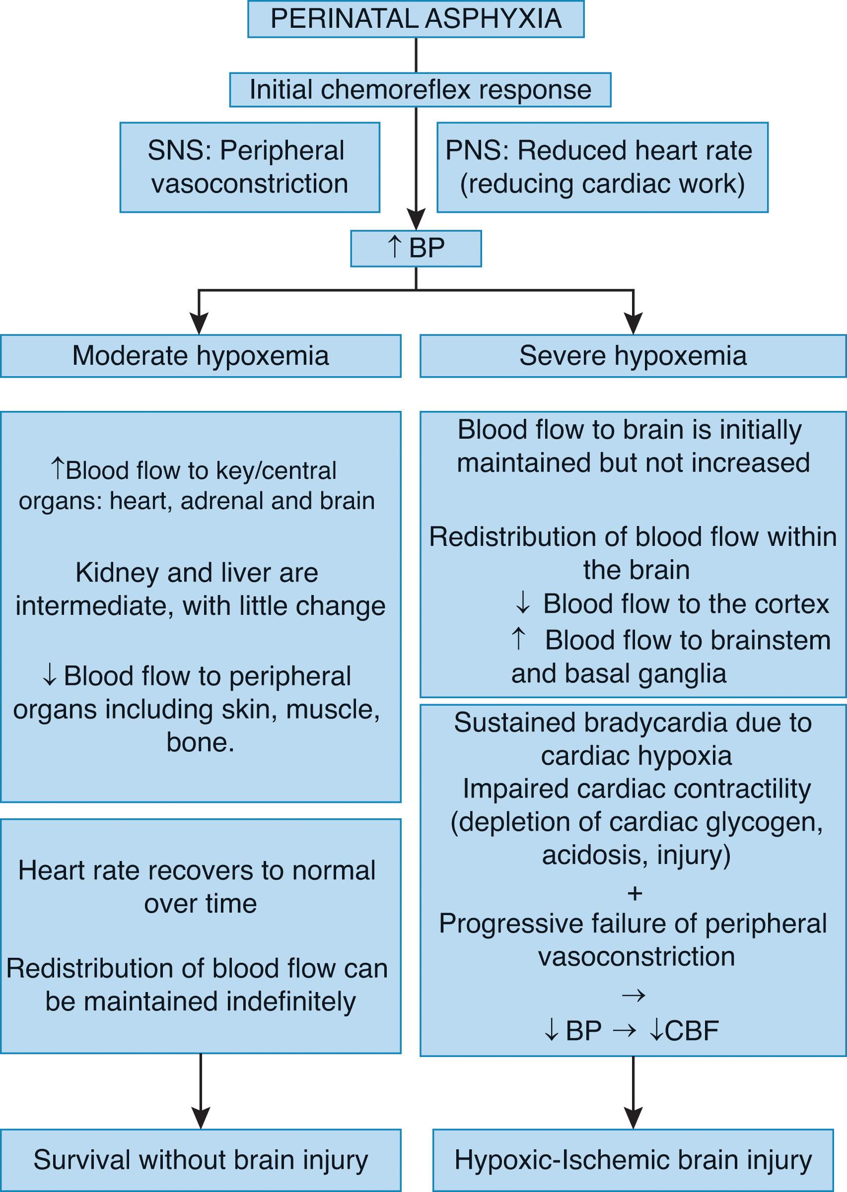 Pathophysiology: General Principles - Clinical Tree