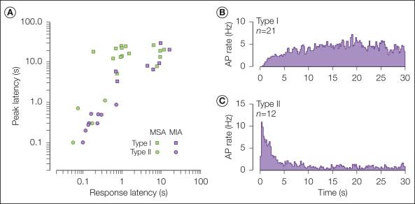 Peripheral Mechanisms of Cutaneous Nociception - Clinical Tree
