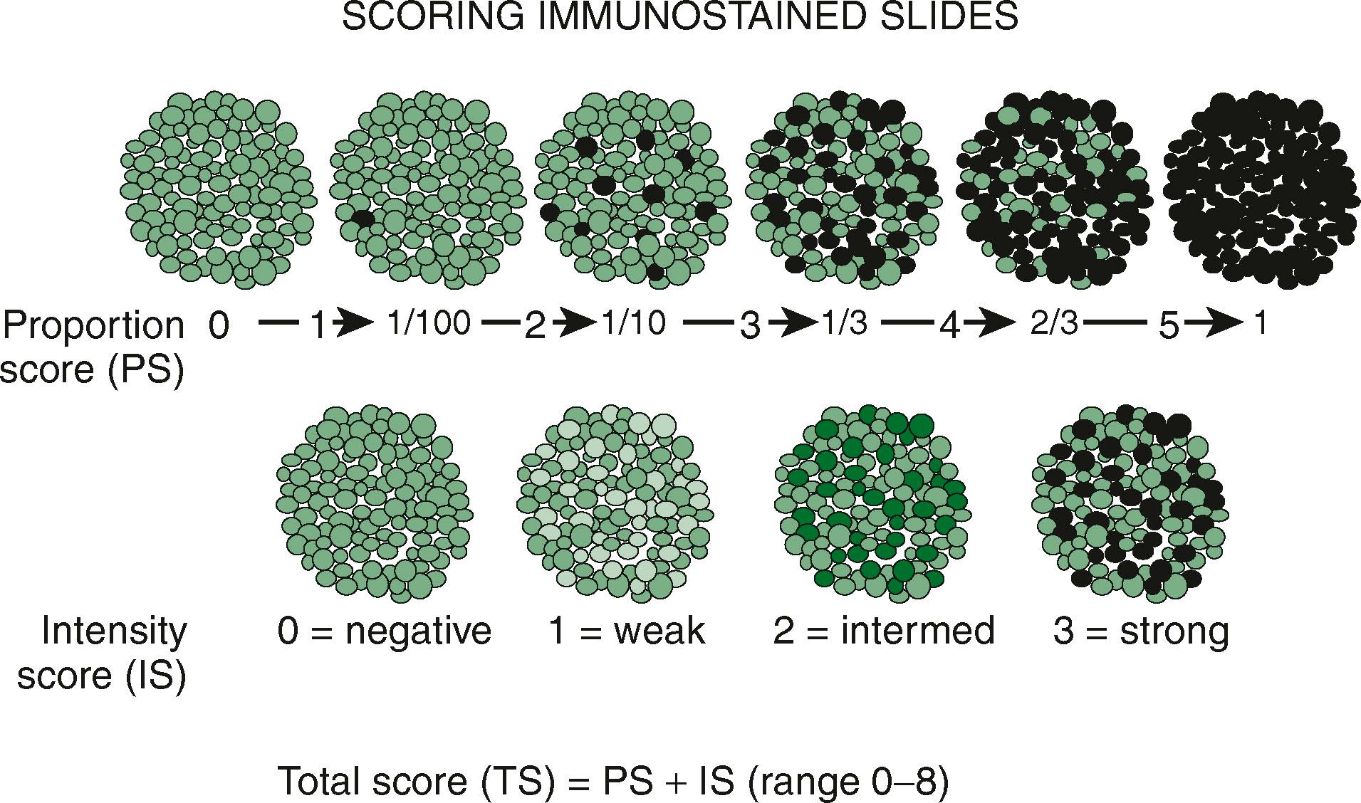 Predictive and Prognostic Marker Testing in Breast Pathology ...