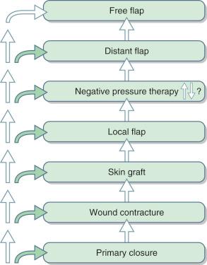 Problem Analysis in Reconstructive Surgery: Reconstructive Ladders ...
