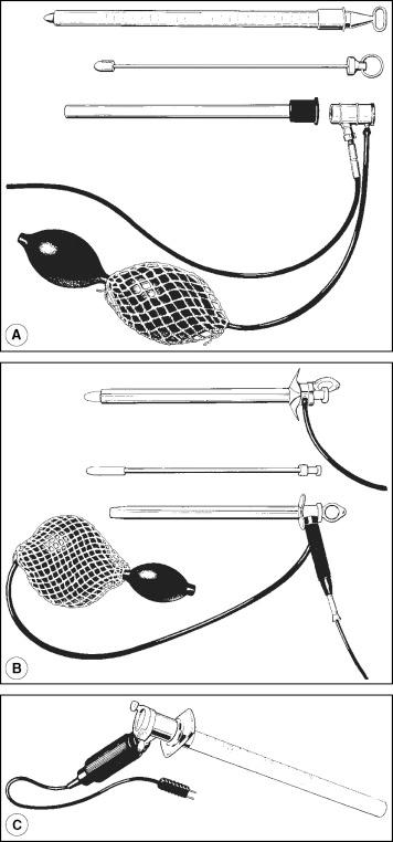 Proctoscopy - Clinical Tree