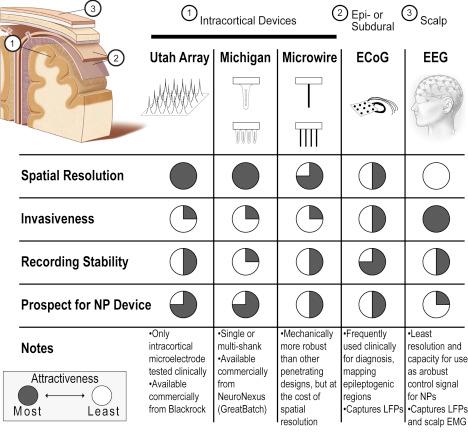 Prospects for a Robust Cortical Recording Interface - Clinical Tree