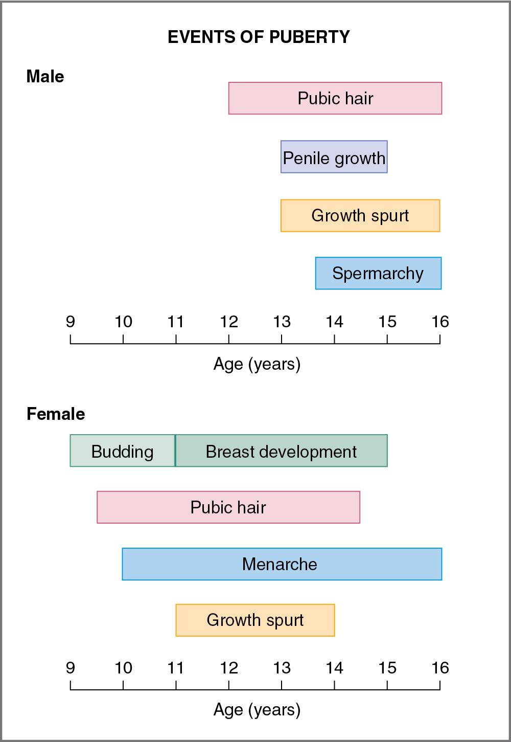 Reproductive physiology - Clinical Tree