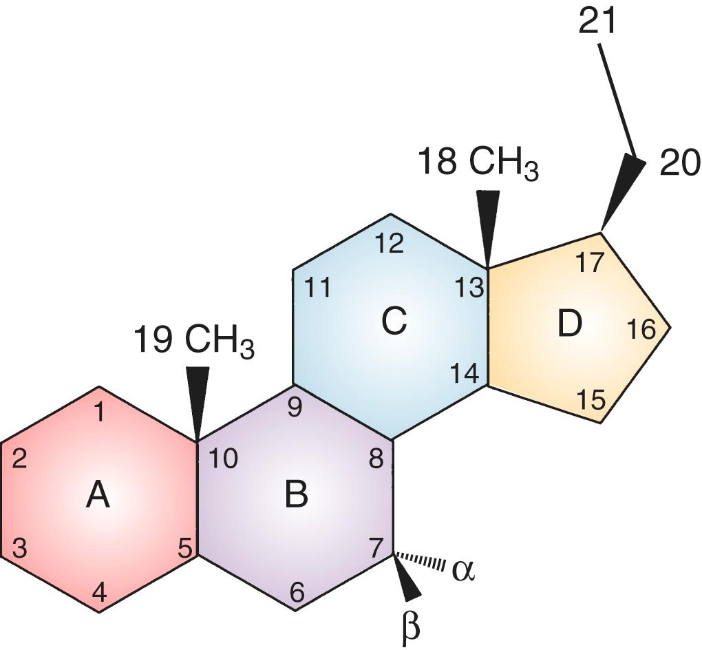 Steroid Hormones and Other Lipid Molecules Involved in Human ...