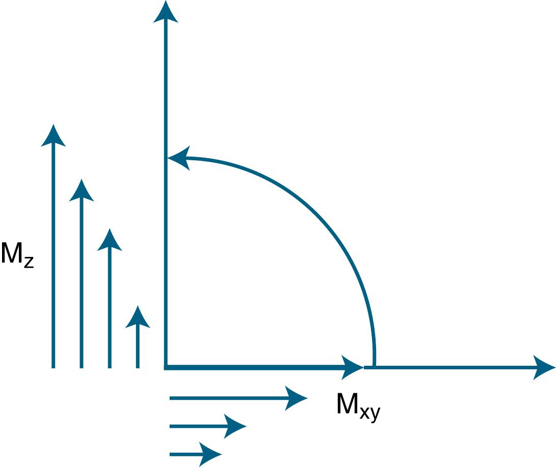 Structural Imaging Using Magnetic Resonance Imaging and Computed ...