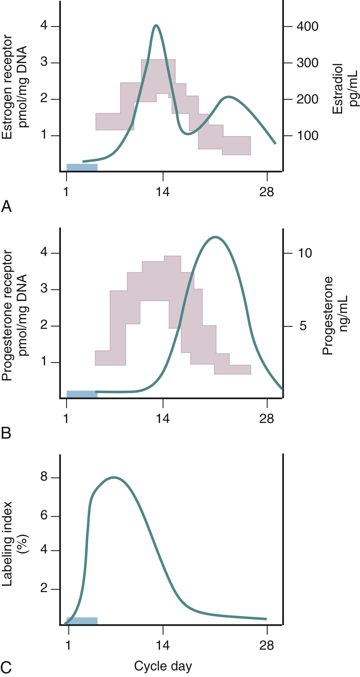 Structure, Function, and Evaluation of the Female Reproductive Tract ...