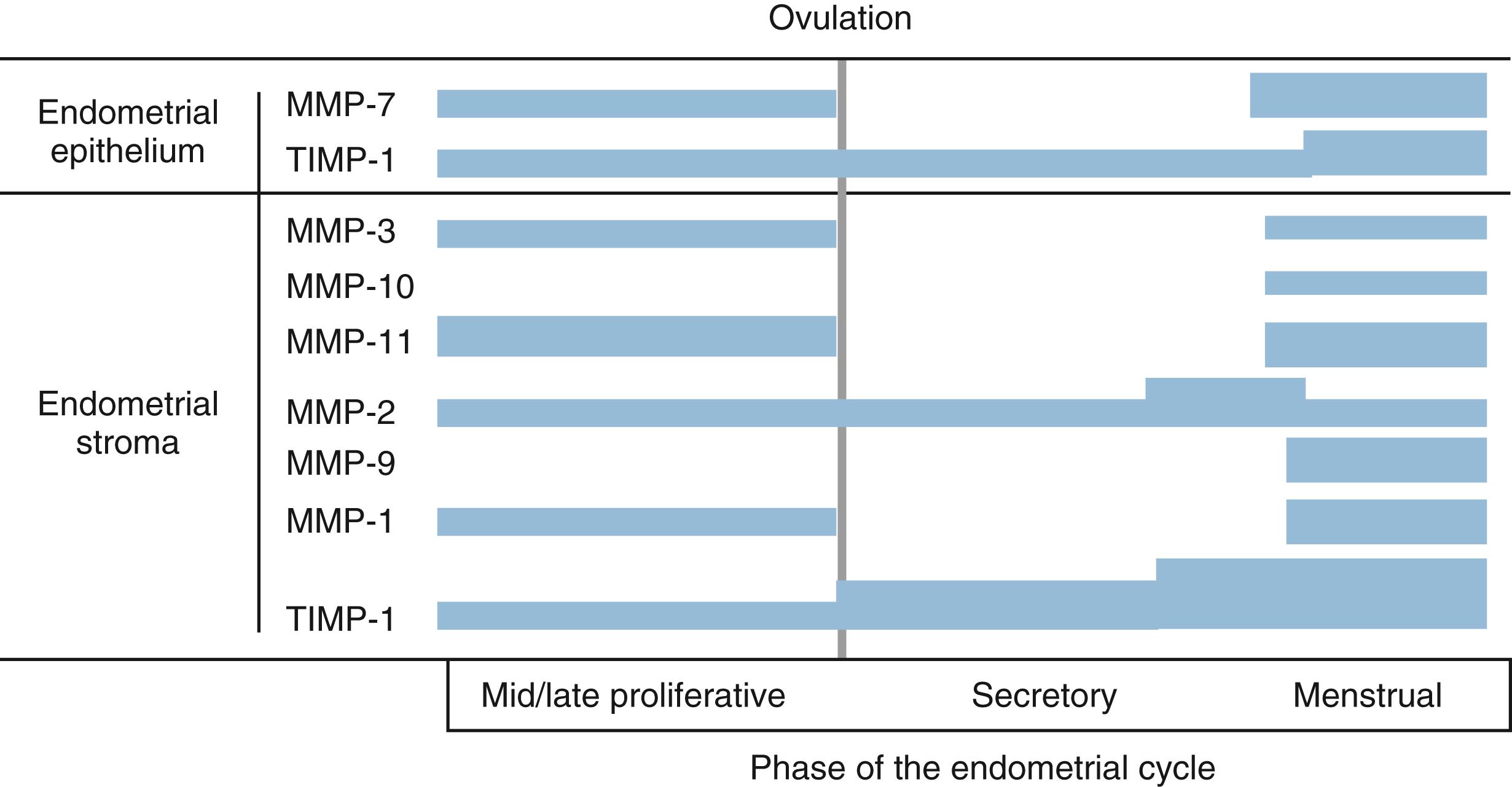 Structure, Function, and Evaluation of the Female Reproductive Tract ...