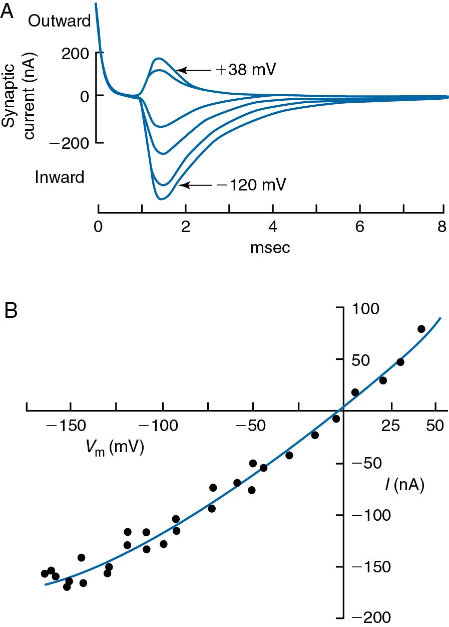 Synaptic physiology II - Clinical Tree