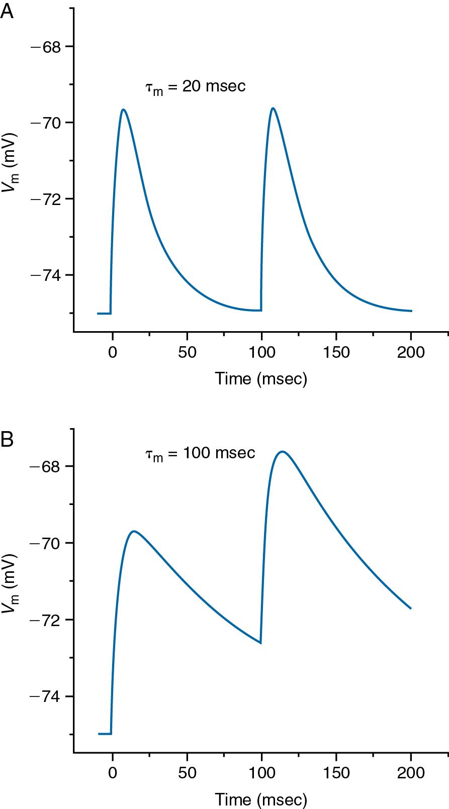 Synaptic physiology II - Clinical Tree