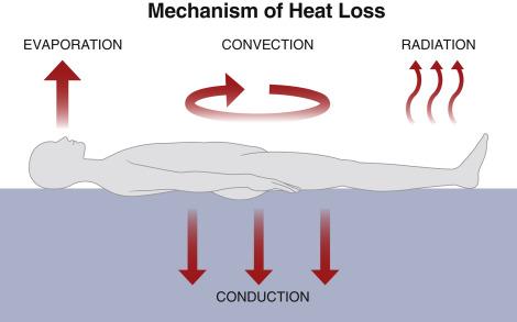 Temperature Monitoring - Clinical Tree