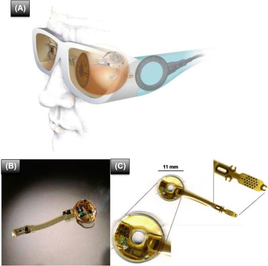 The Development of Visual Prosthetic Devices to Restore Vision to the ...