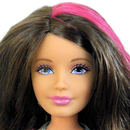 Barbie 2010 Dreamhouse Skipper Face Mold