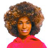 Disney High School Musical School Spirit Chad Doll