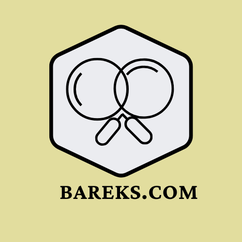 bareks.com