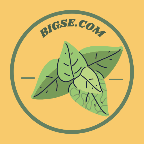 bigse.com