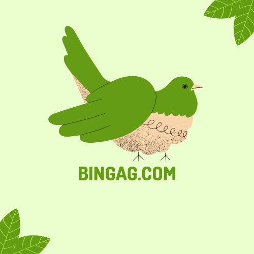 bingag.com
