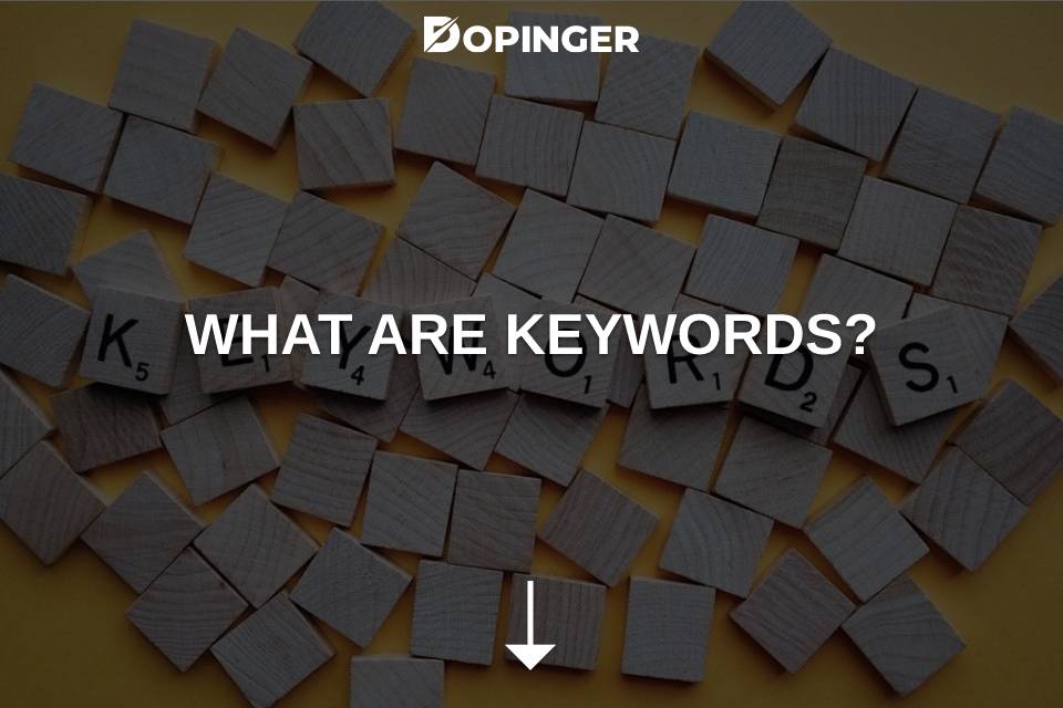 What Are Keywords? (An Extensive Guide) - Dopinger