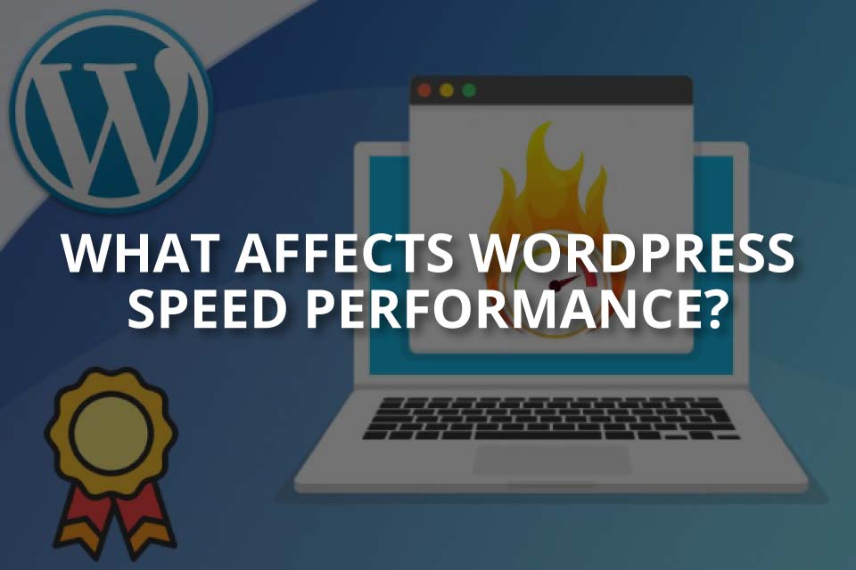 What Affects WordPress Speed Performance? - Dopinger Blog