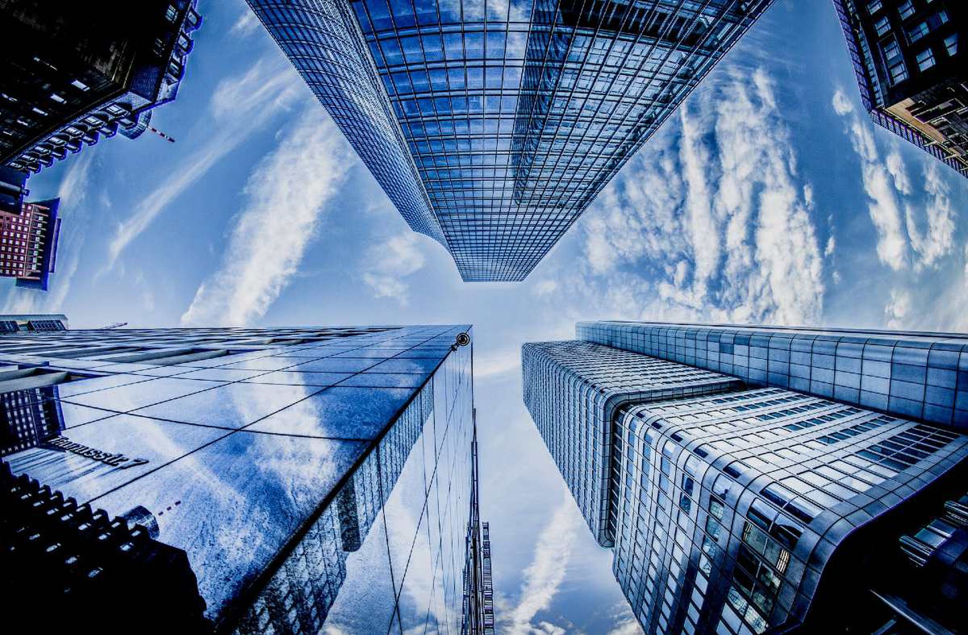 WEBINAR: DPO Success Series - What You Need To Know About the Data ...