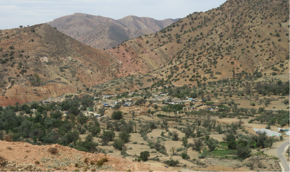 The Marvel of Argan Forests in Morocco | Project Noah