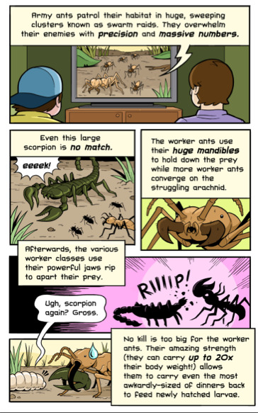 Myrmex: A Comic Ant-thology | Project Noah