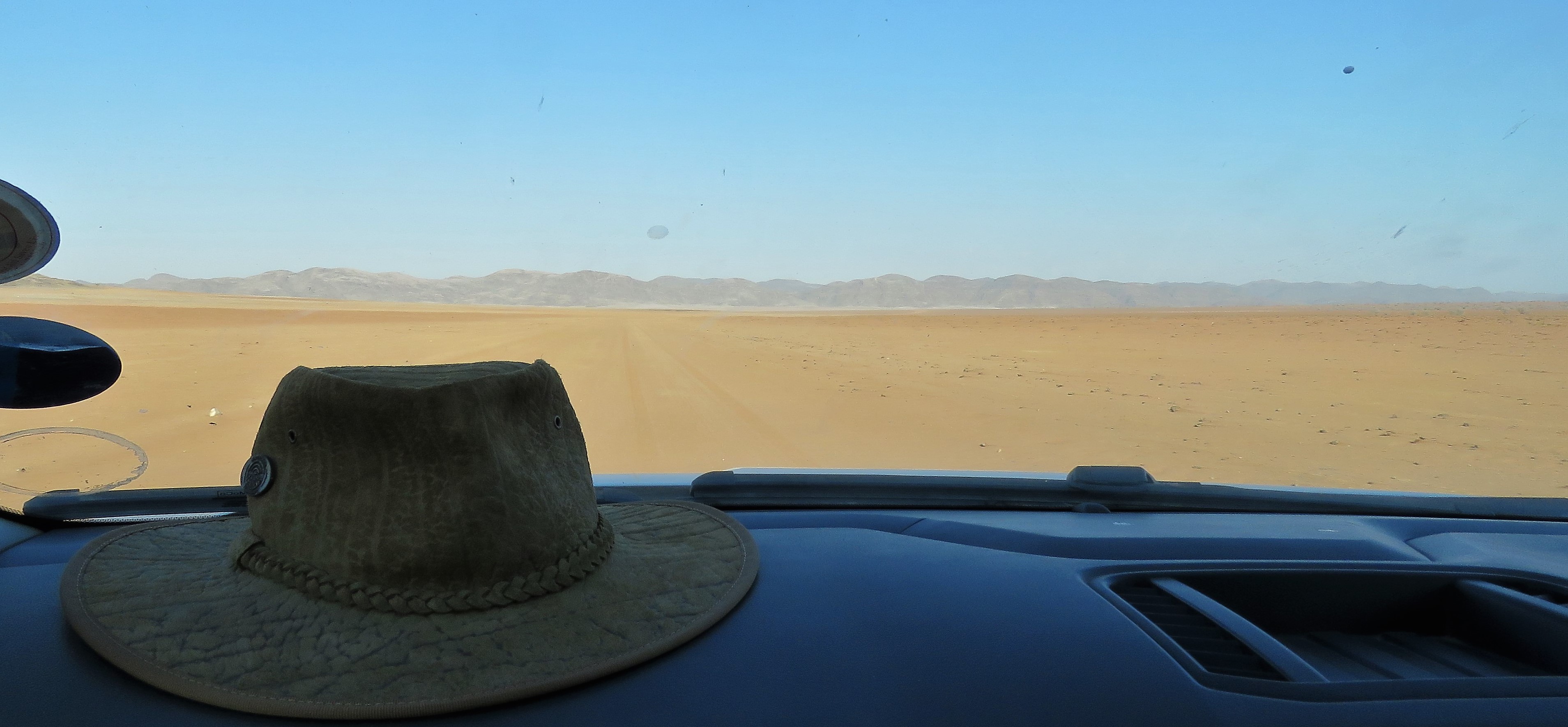 From Dust to Delta: Birding Through Namibia’s Contrasts | Project Noah