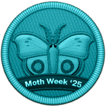 301 Moved Permanently