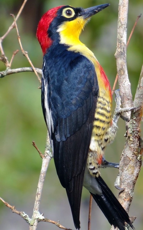 301 Moved Permanently