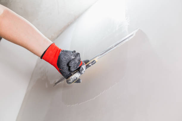 Drywall Repair and Painting Colorado