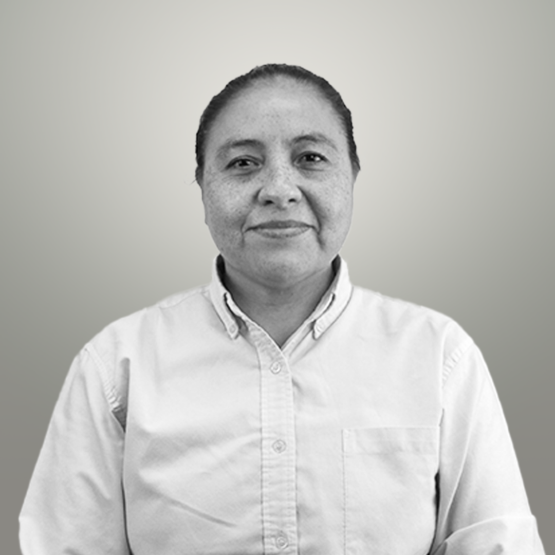 The Team – District Taco