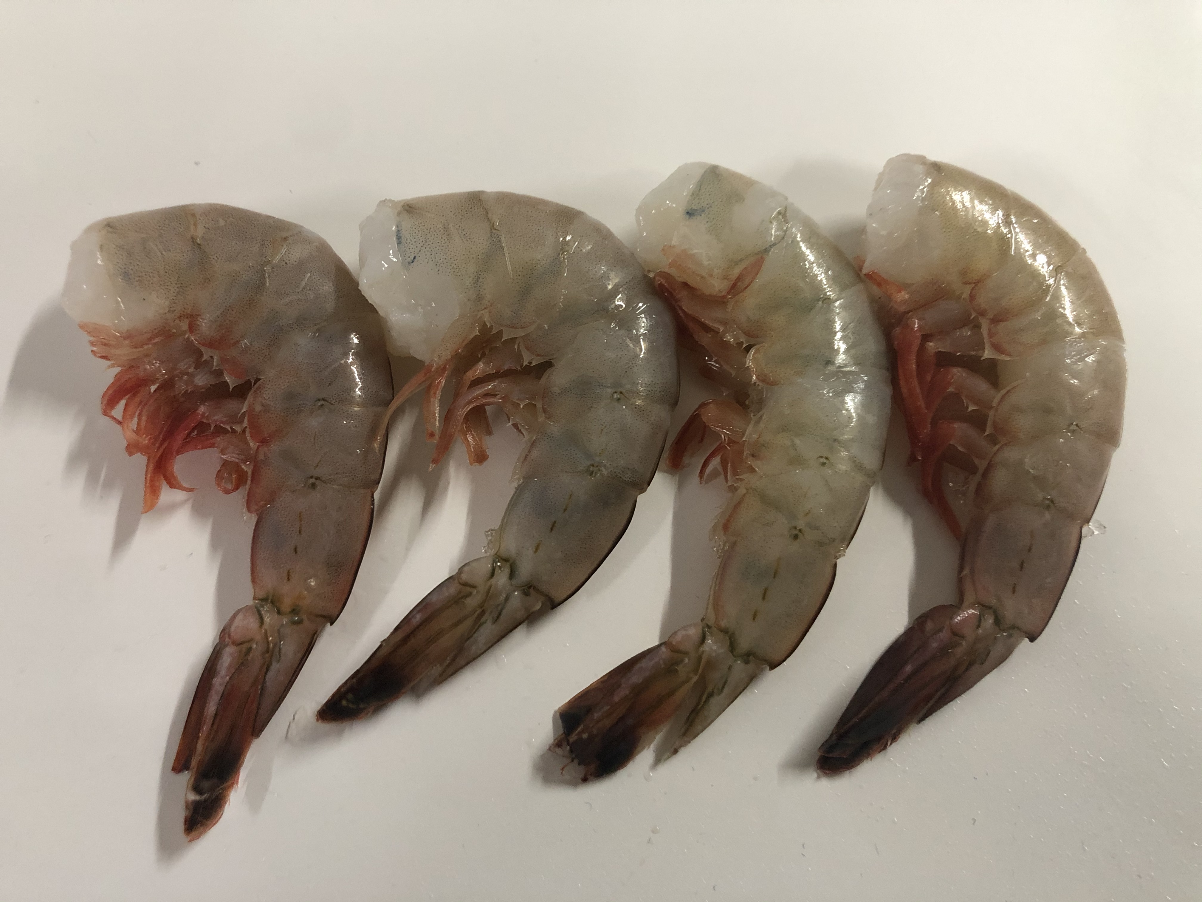 Madison Seafood | Fresh Shrimp WILD CAUGHT USA 16/20 count / lb.