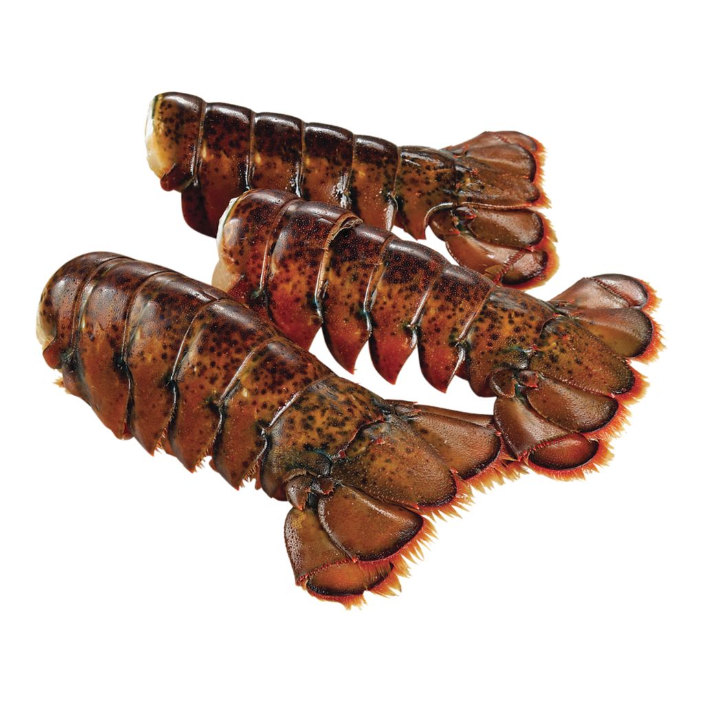 Off the Hook | Wild Lobster Tail - 5-6 Oz Canadian