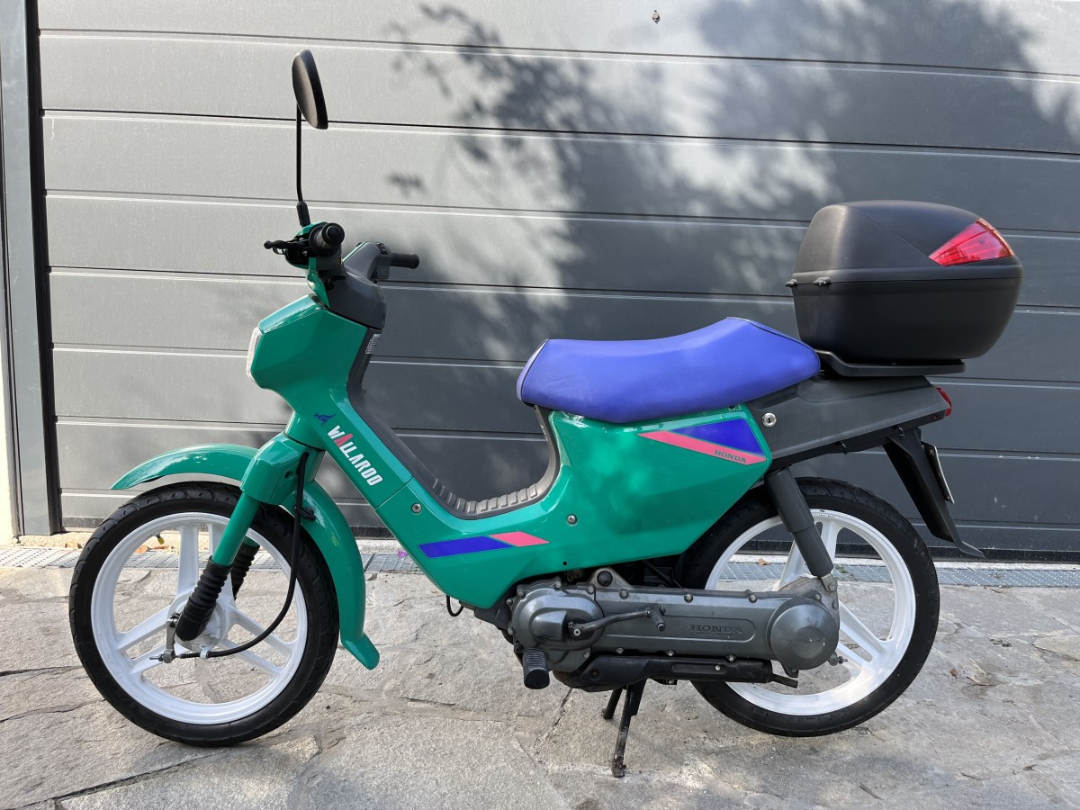 Annuncio Moto Honda PK 50 Wallaroo - a Celle Ligure – Usato Dueruote