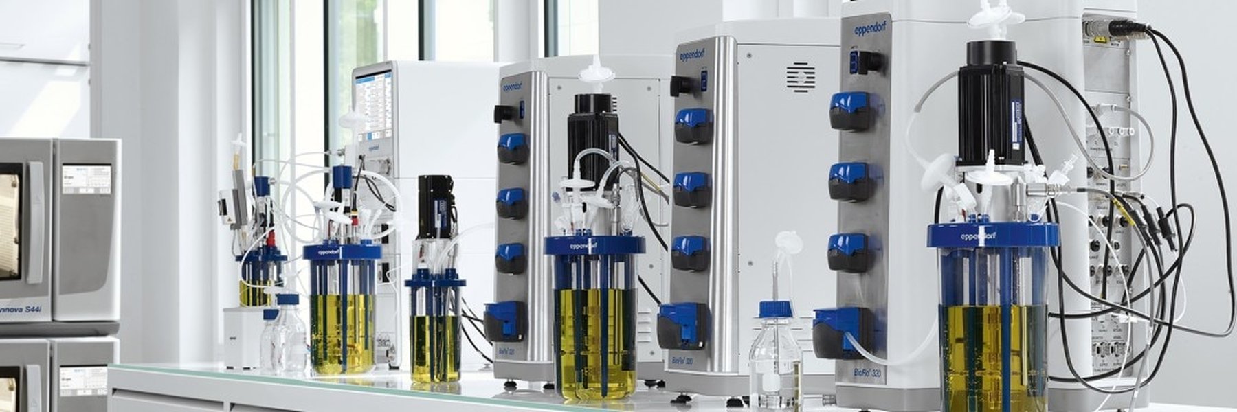 Ithy - Unlocking Bio-Based Futures: The Vast Scope of 3-HP Fermentation ...