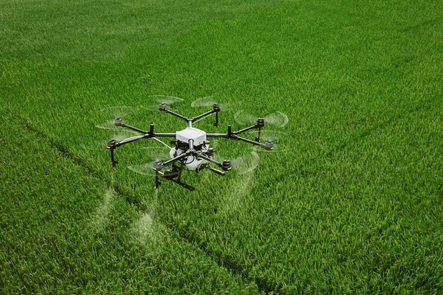 Ithy - Aerobotics: Pioneering Agricultural Breakthroughs from South ...