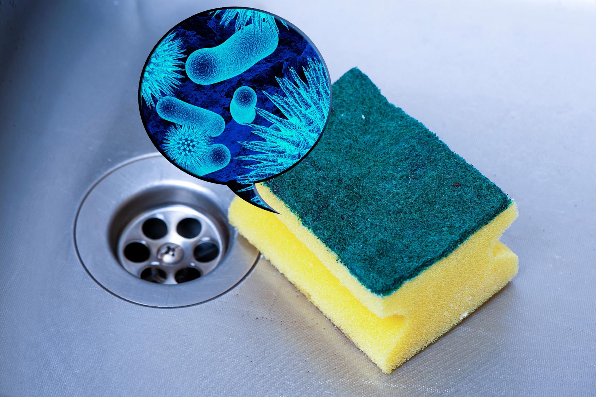Ithy - Environmental Conditions Encouraging Bacterial Growth