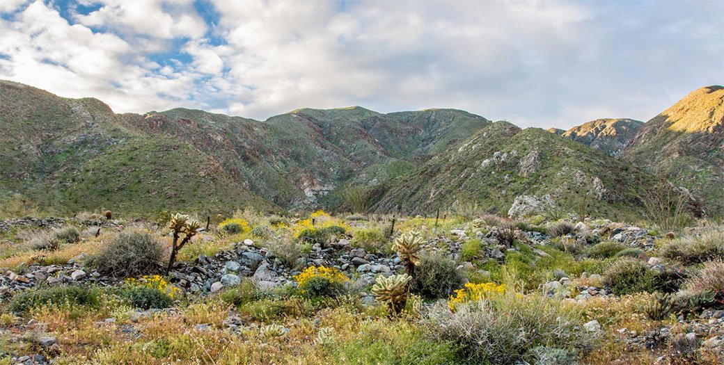 Ithy - Biogeography: Understanding the Distribution of Life on Earth