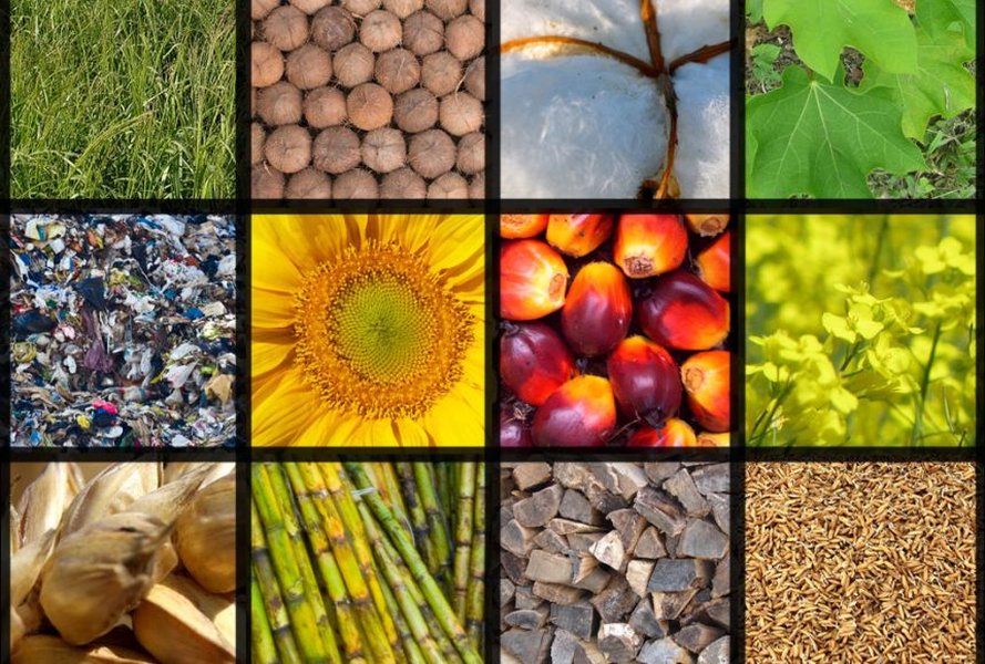 Ithy - Unlocking Nature's Power: The Comprehensive Guide to Biomass Energy