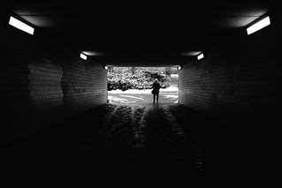 Ithy - An In-depth Analysis of the Opening Scene in David Lynch's 'Blue ...